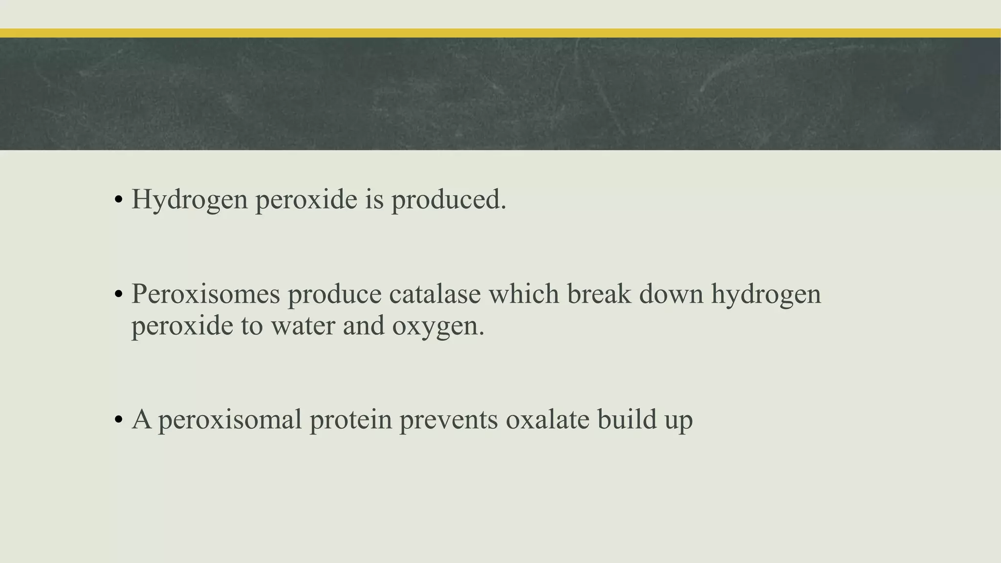 Peroxisomes ppt (introduction structure & function) | PPTX