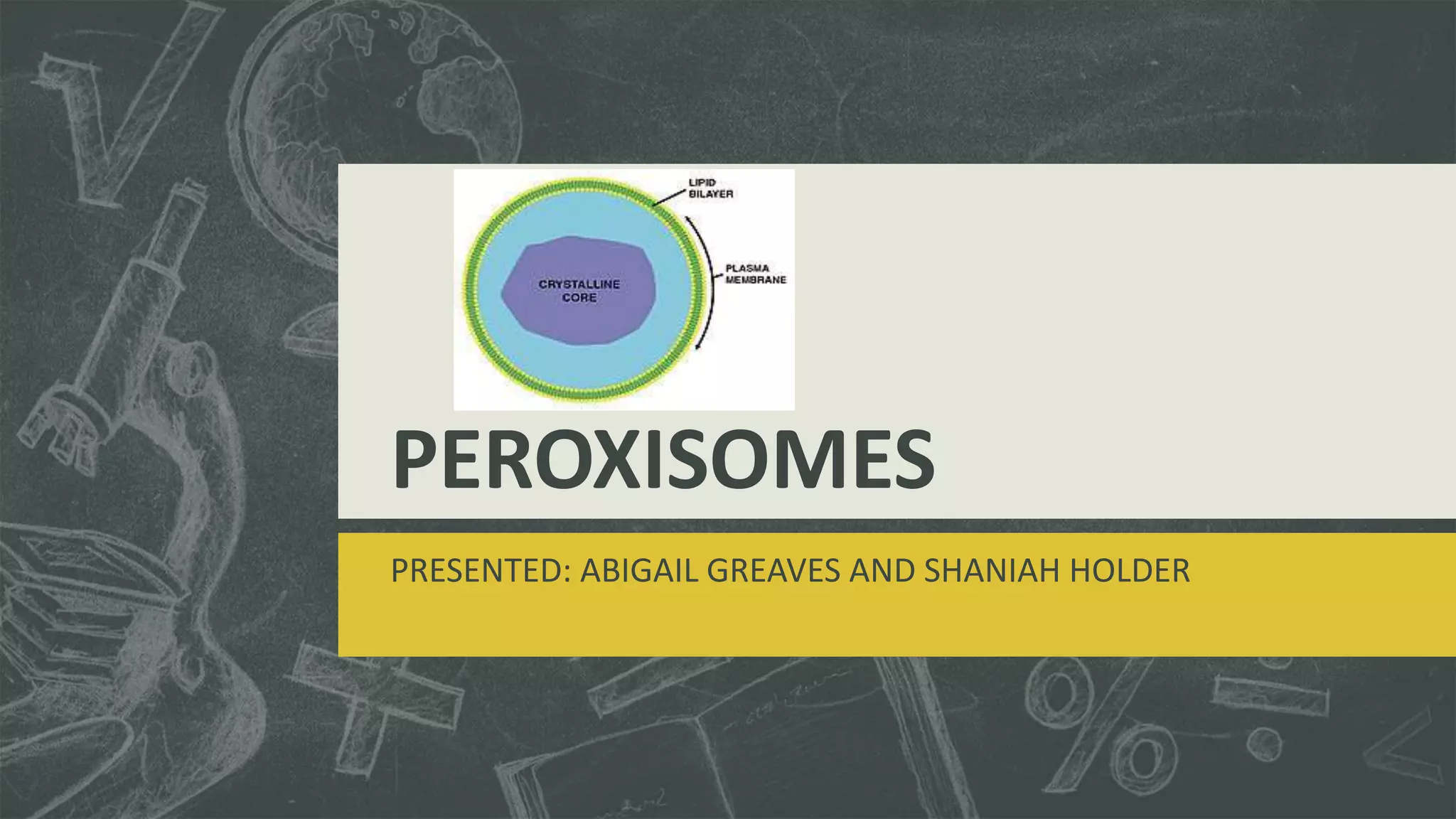 Peroxisomes ppt (introduction structure & function) | PPTX
