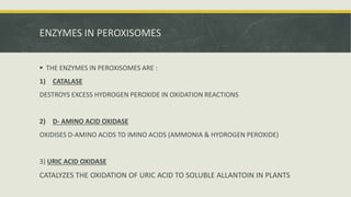 Peroxisomes ppt (introduction structure & function) | PPTX