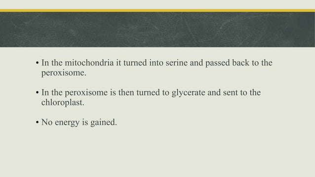 Peroxisomes ppt (introduction structure & function) | PPT