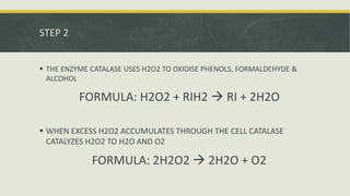 Peroxisomes ppt (introduction structure & function) | PPTX