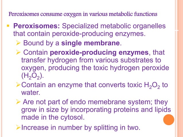 Peroxisomes | PPTX | Biological Sciences | Science