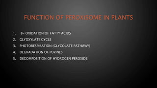 Peroxisomes | PPTX