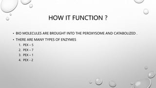 Peroxisomes.pptx