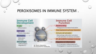 Peroxisomes.pptx