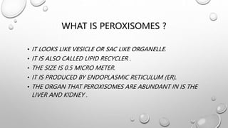 Peroxisomes.pptx