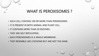 Peroxisomes.pptx