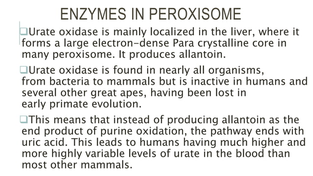 Peroxisomes | PPTX | Biological Sciences | Science