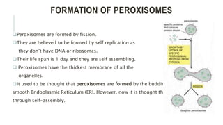 Peroxisomes | PPTX