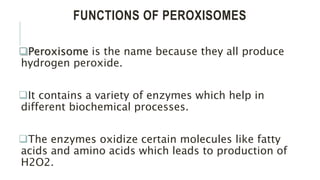 Peroxisomes | PPTX