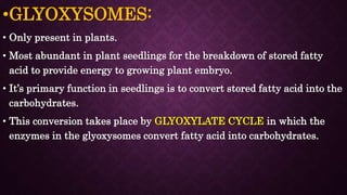 Peroxisomes, glyoxysomes, vacuole, cytoskeleton, | PPTX