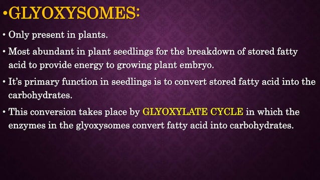 Peroxisomes, glyoxysomes, vacuole, cytoskeleton, | PPT