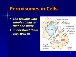 Peroxisomes in dermatology.ppt