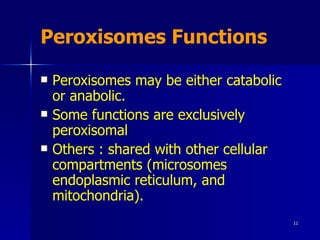 Peroxisomes Structure And Function Ppt