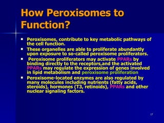 Peroxisomes in dermatology | PPS