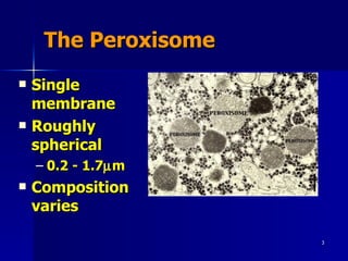 Peroxisomes in dermatology | PPS