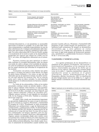 Perpectiva micológica de los dermatofitos en el ser humano | PDF