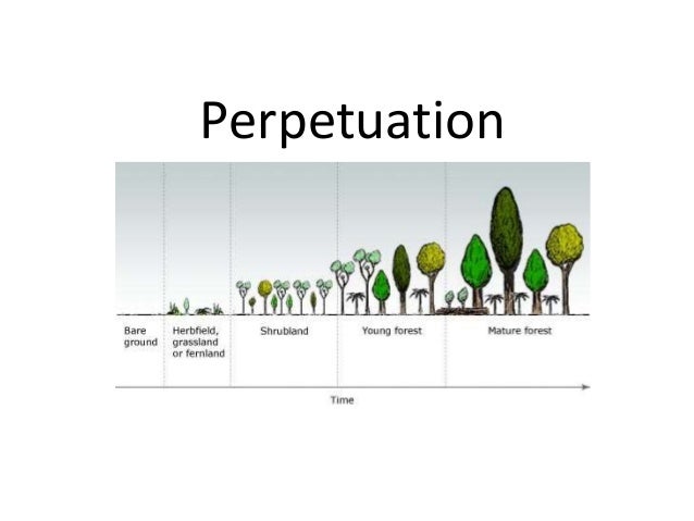 Perpetuation