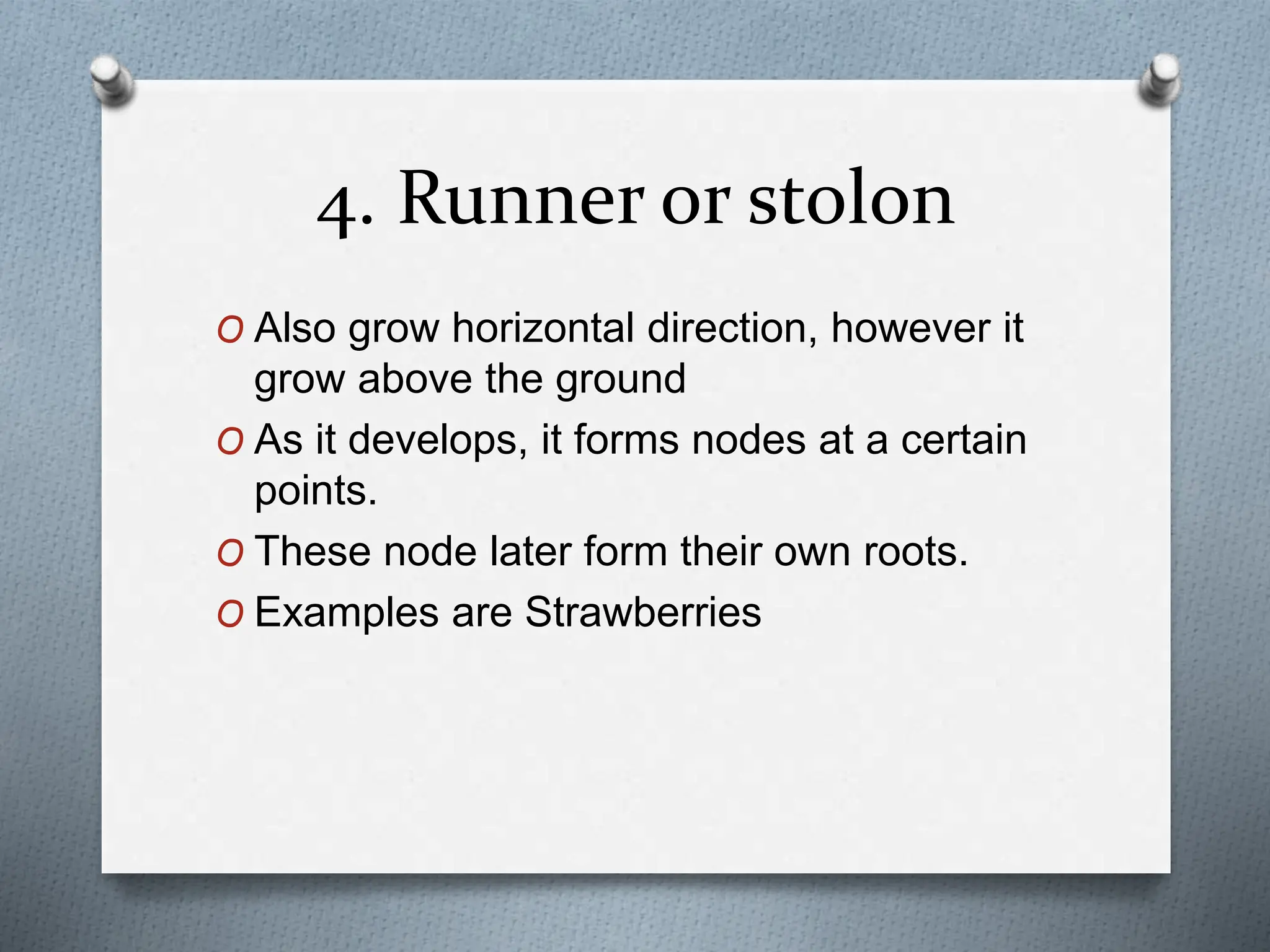 PERPETUATION IN LIFE.pptx