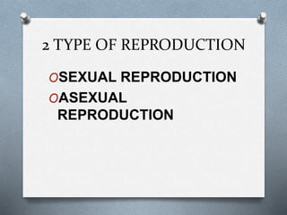 PERPETUATION IN LIFE.pptx