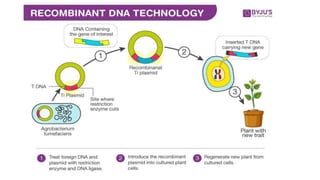 Perpetuation of Life.ppt