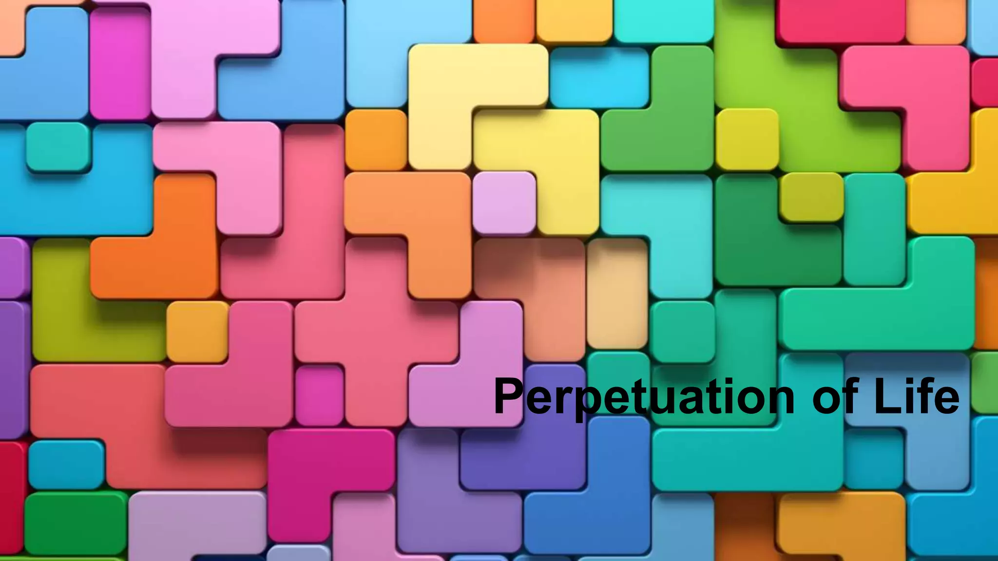 Perpetuation of Life.pptx