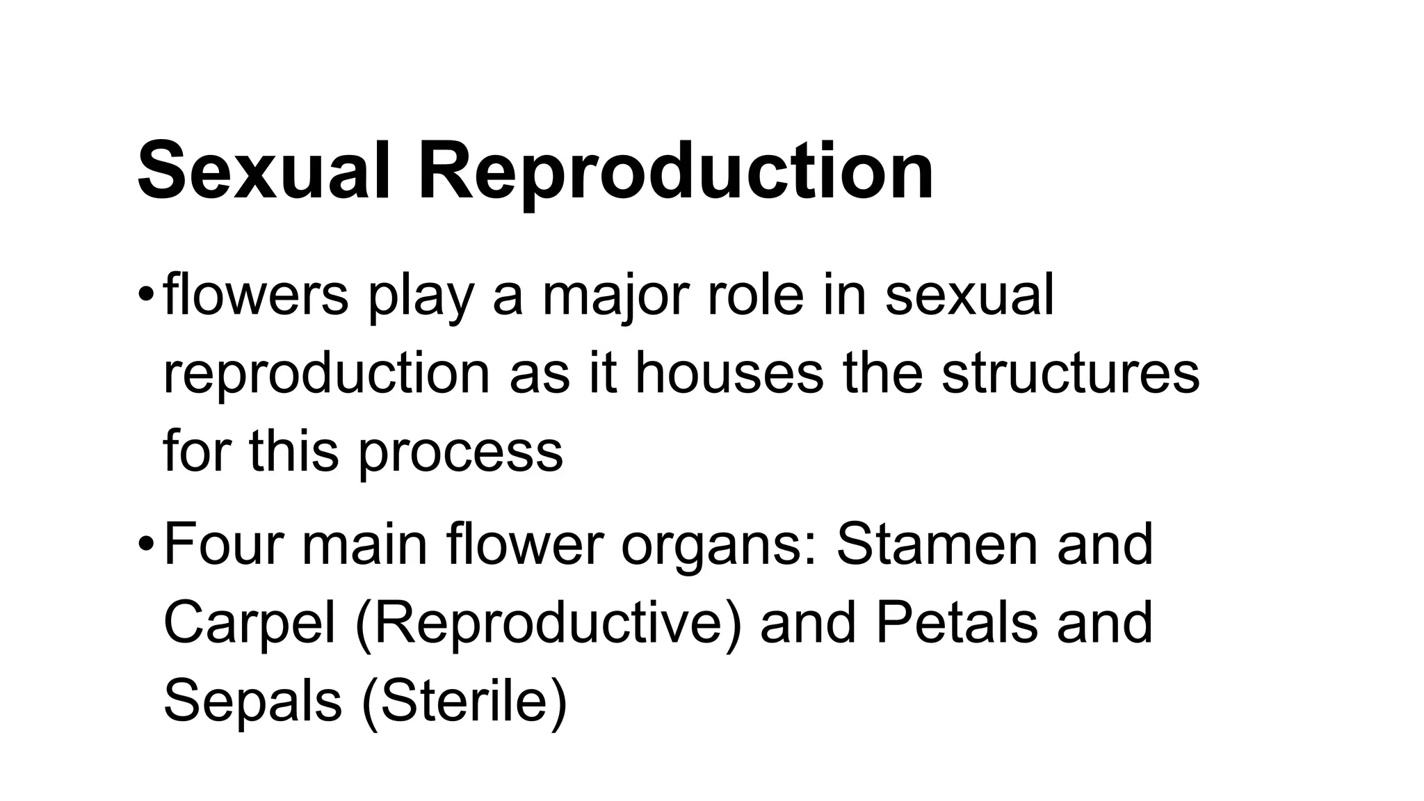 Perpetuation of Life.pptx