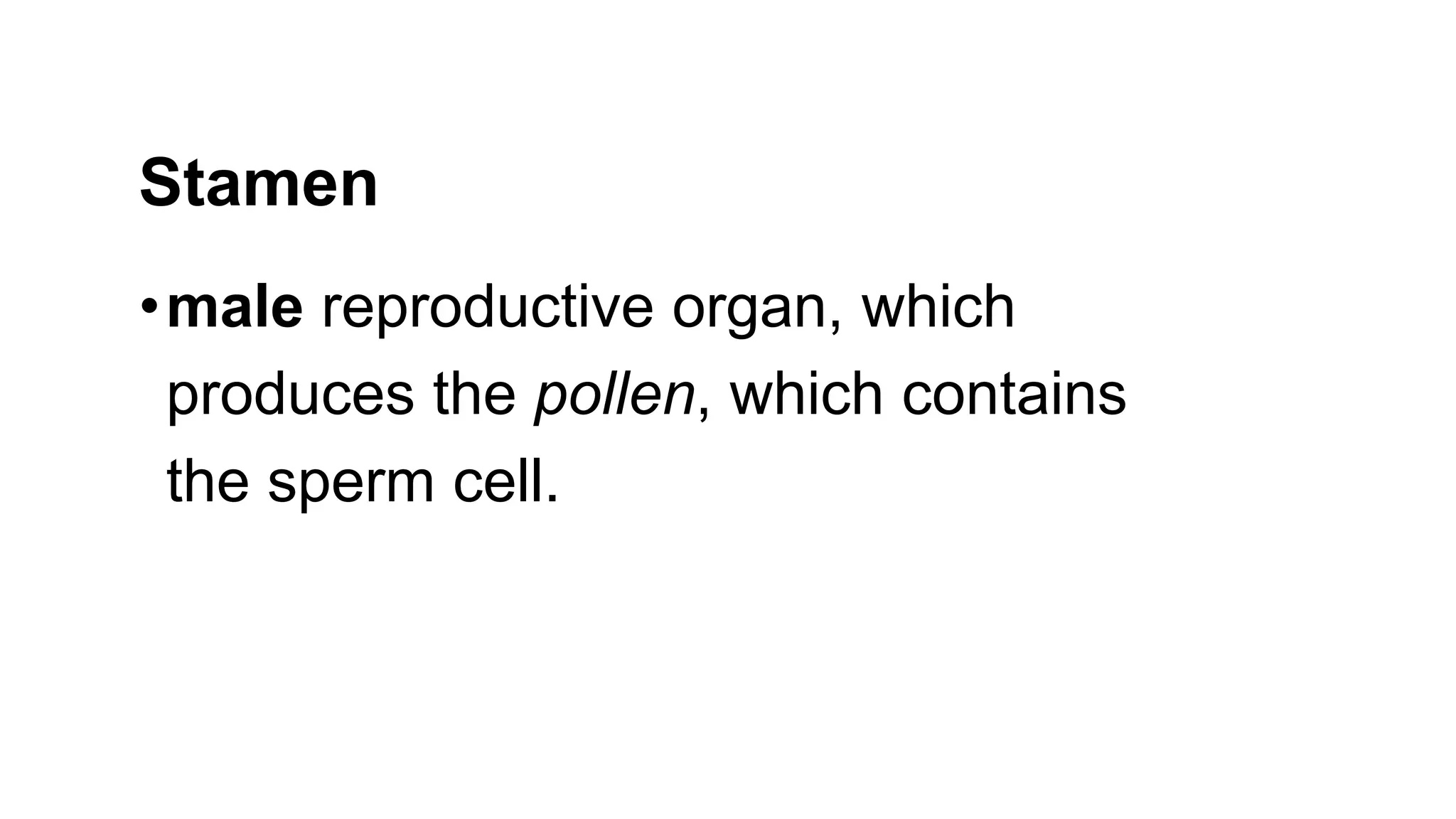 Perpetuation of Life.pptx