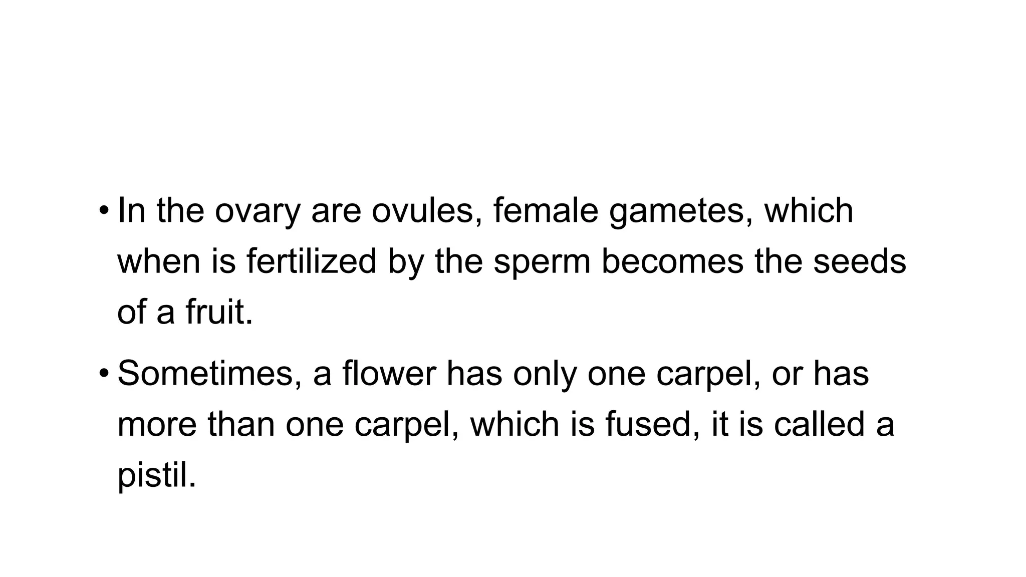 Perpetuation of Life.pptx