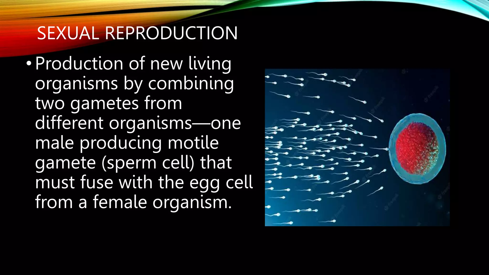 PERPETUATION OF LIFE.pptx