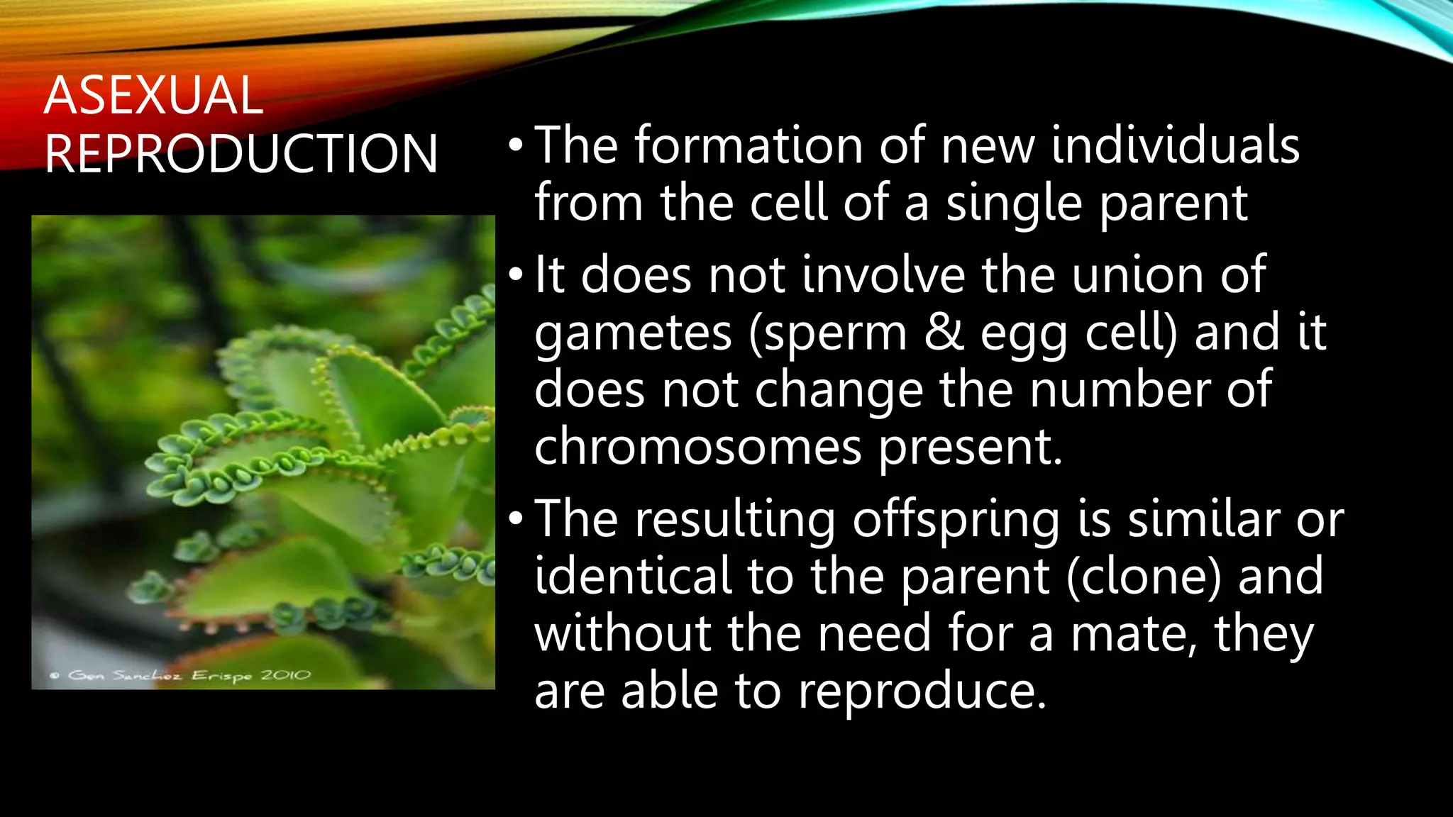 PERPETUATION OF LIFE.pptx