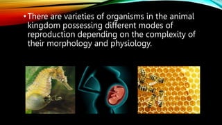 PERPETUATION OF LIFE.pptx