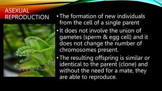 PERPETUATION OF LIFE.pptx