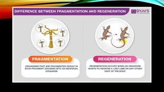 PERPETUATION OF LIFE.pptx