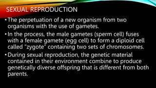 PERPETUATION OF LIFE.pptx