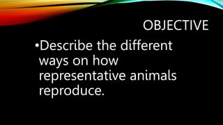 PERPETUATION OF LIFE.pptx