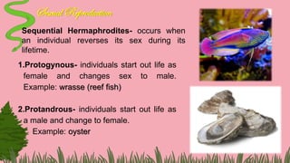 PERPETUATION OF LIFE.pptx bbbbbbbbbbbbbbbb | PPT