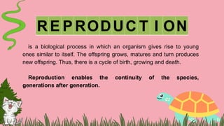 PERPETUATION OF LIFE.pptx bbbbbbbbbbbbbbbb | PPT