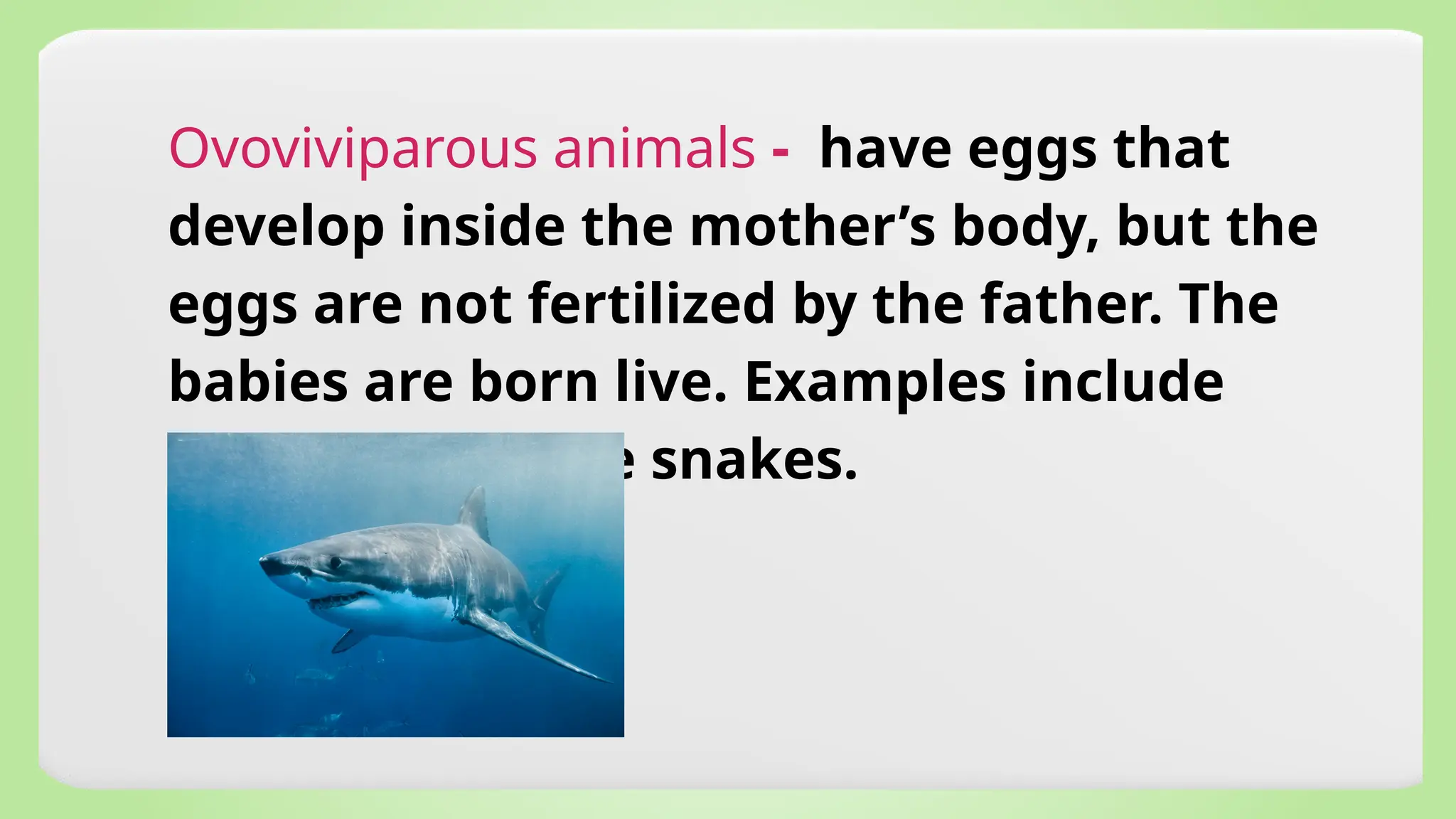 perpetuation of life or Continuation of life | PPTX