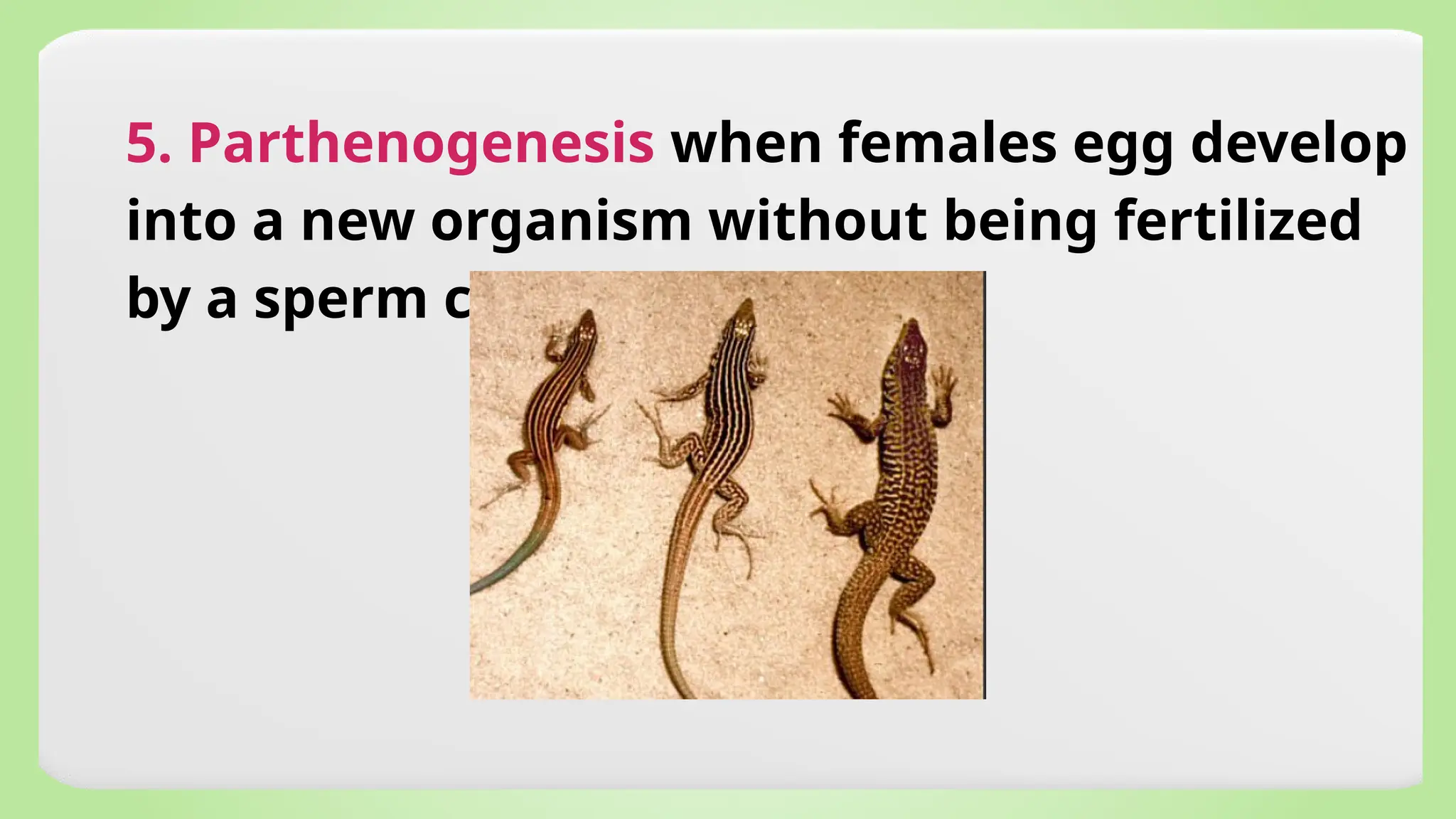 perpetuation of life or Continuation of life | PPTX