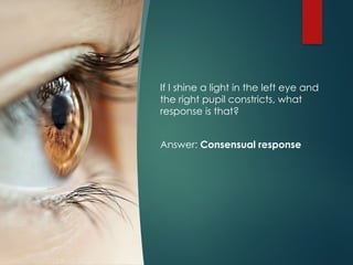 How to Perform a PERRLA Eye Assessment: Step-by-Step Guide for Health ...