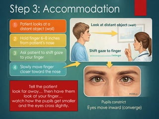How to Perform a PERRLA Eye Assessment: Step-by-Step Guide for Health ...