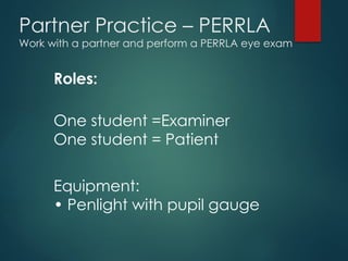 How to Perform a PERRLA Eye Assessment: Step-by-Step Guide for Health ...