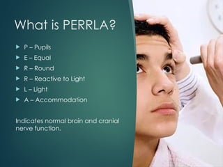 How to Perform a PERRLA Eye Assessment: Step-by-Step Guide for Health ...