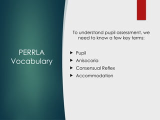 How to Perform a PERRLA Eye Assessment: Step-by-Step Guide for Health ...