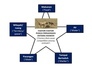 Persaingan | PPTX