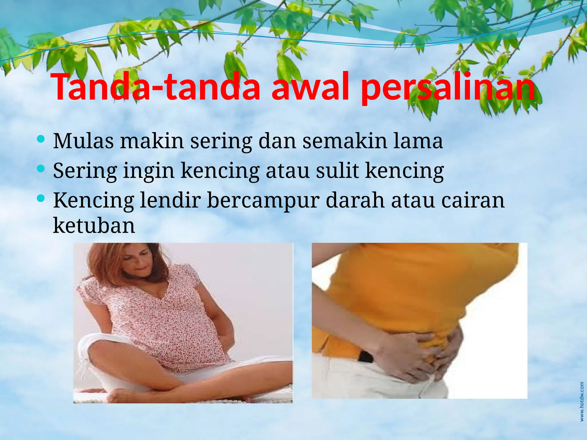 ppt PersalinaAn Aman Bagi Ibu Hamil.pptx