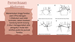 proses fisiologis persalinan dan tatacaranya | PPTX