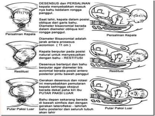 Persalinan Normal oleh Rosyida Khusna | PPTX