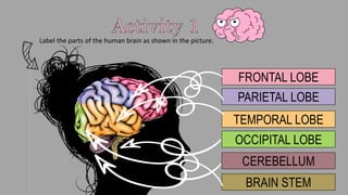 PERSONALITY DEVELOPMENT MODULE 5 Powers of the mind | PPTX